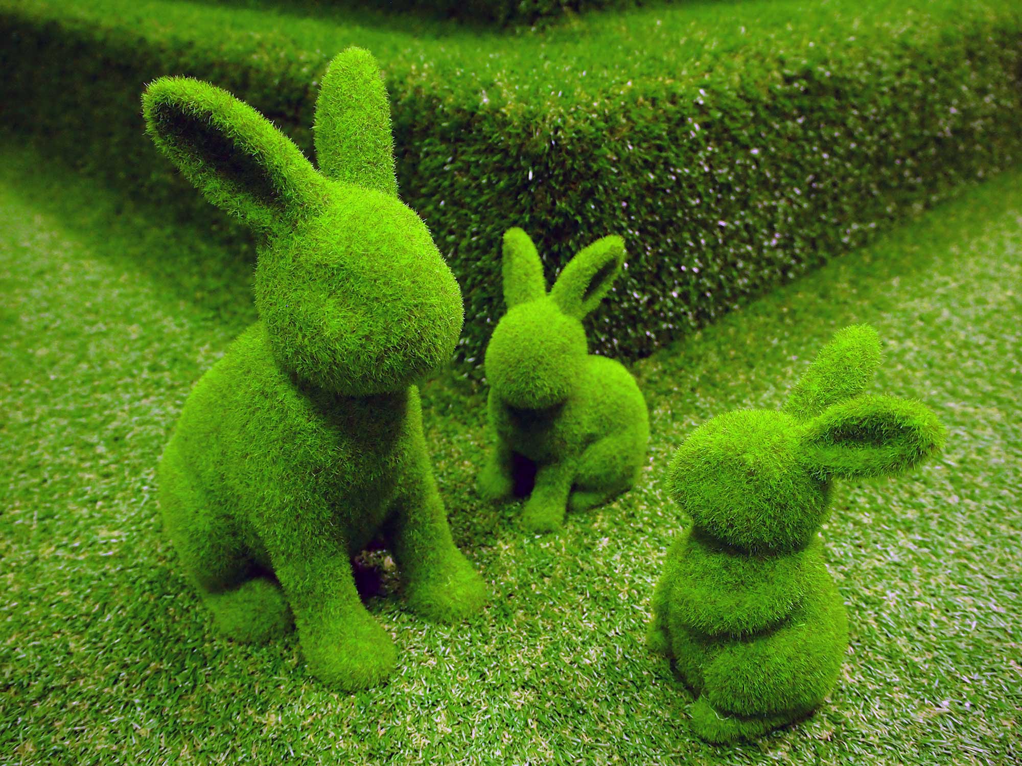 Everyday Cog - Cog Design